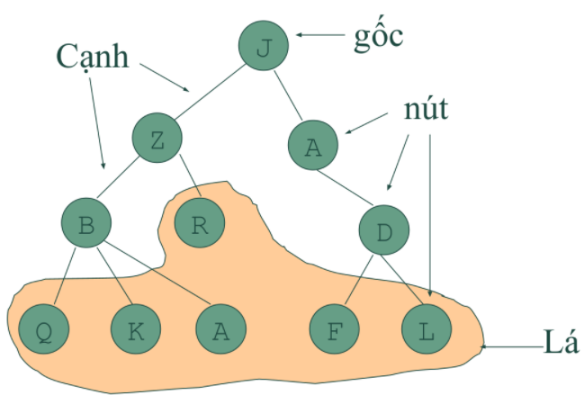 Cấu trúc dữ liệu cây trong C/C++ - Tree data structure | Lập Trình Từ Đầu